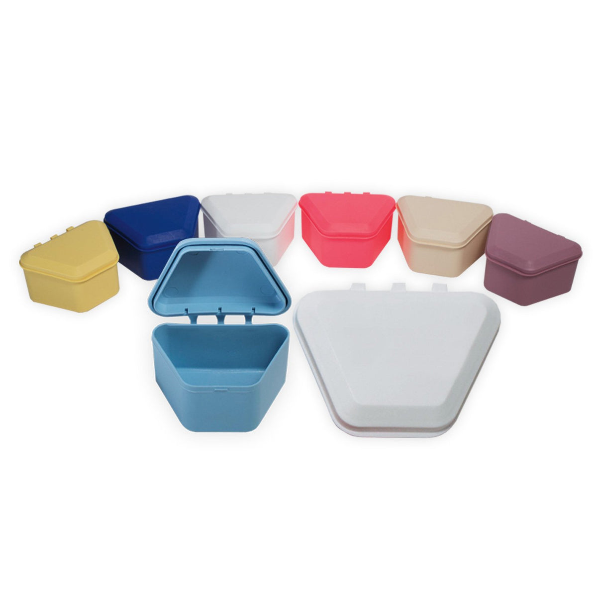 Denture Boxes – Tigers Plastics